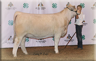 Miller Cattle Company